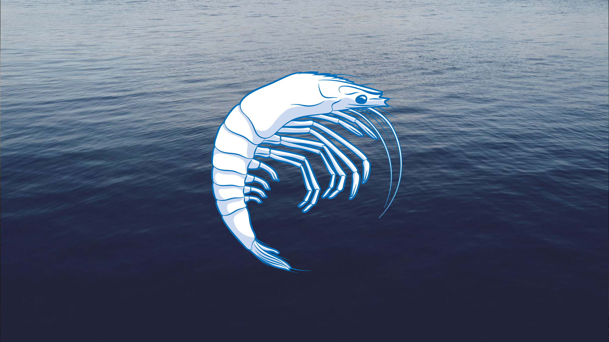 Aquaculture waste is a wasted business opportunity - Prochaete