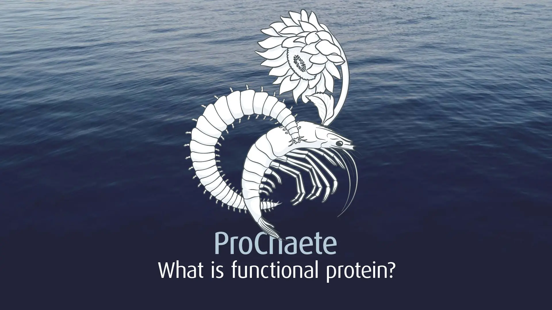 Functional proteins for pet - Prochaete