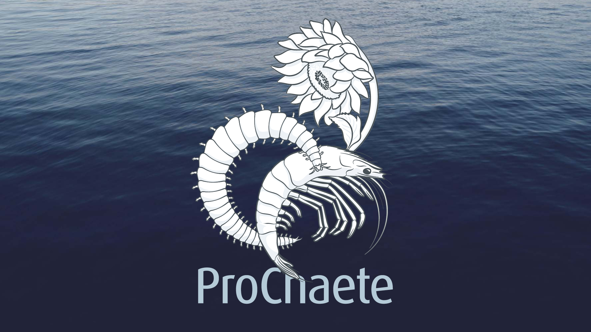 Prochaete - Functional proteins for a sustainable future