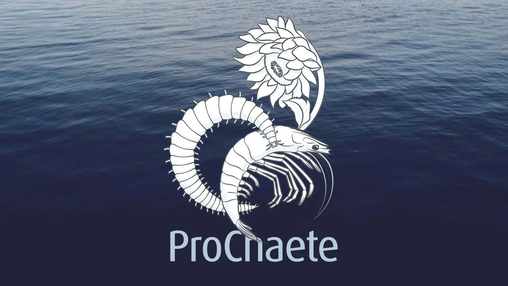 Prochaete - Functional proteins for a sustainable future