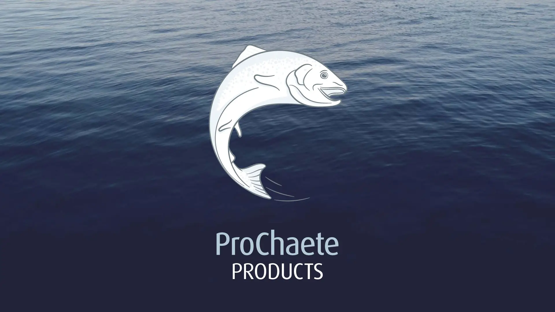Fish products - Prochaete