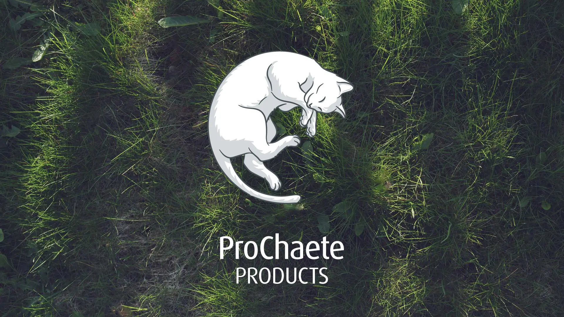 Pet products - Prochaete