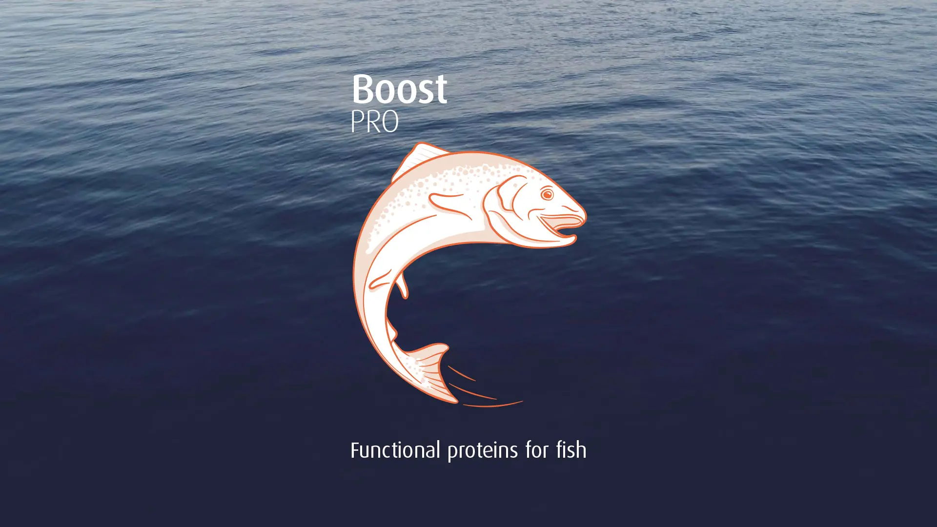 Boost PRO - Prochaete