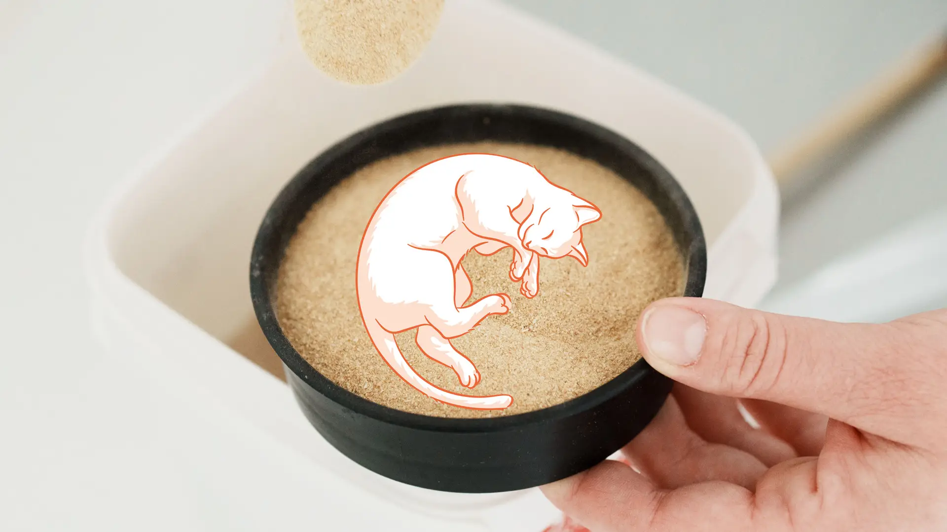 Functional proteins for pet - Prochaete