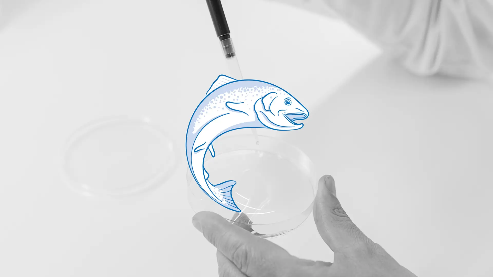 Functional proteins for fish - Prochaete