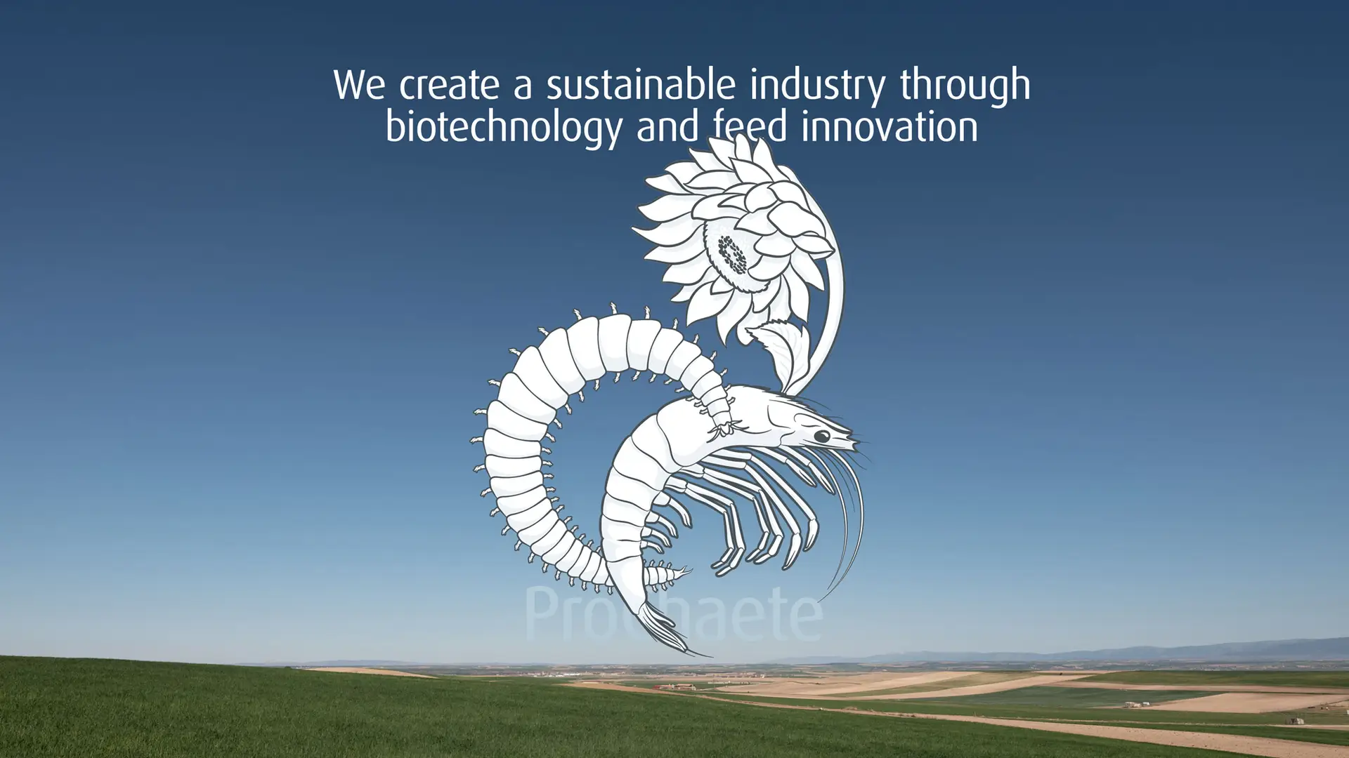 Sustainability - Prochaete