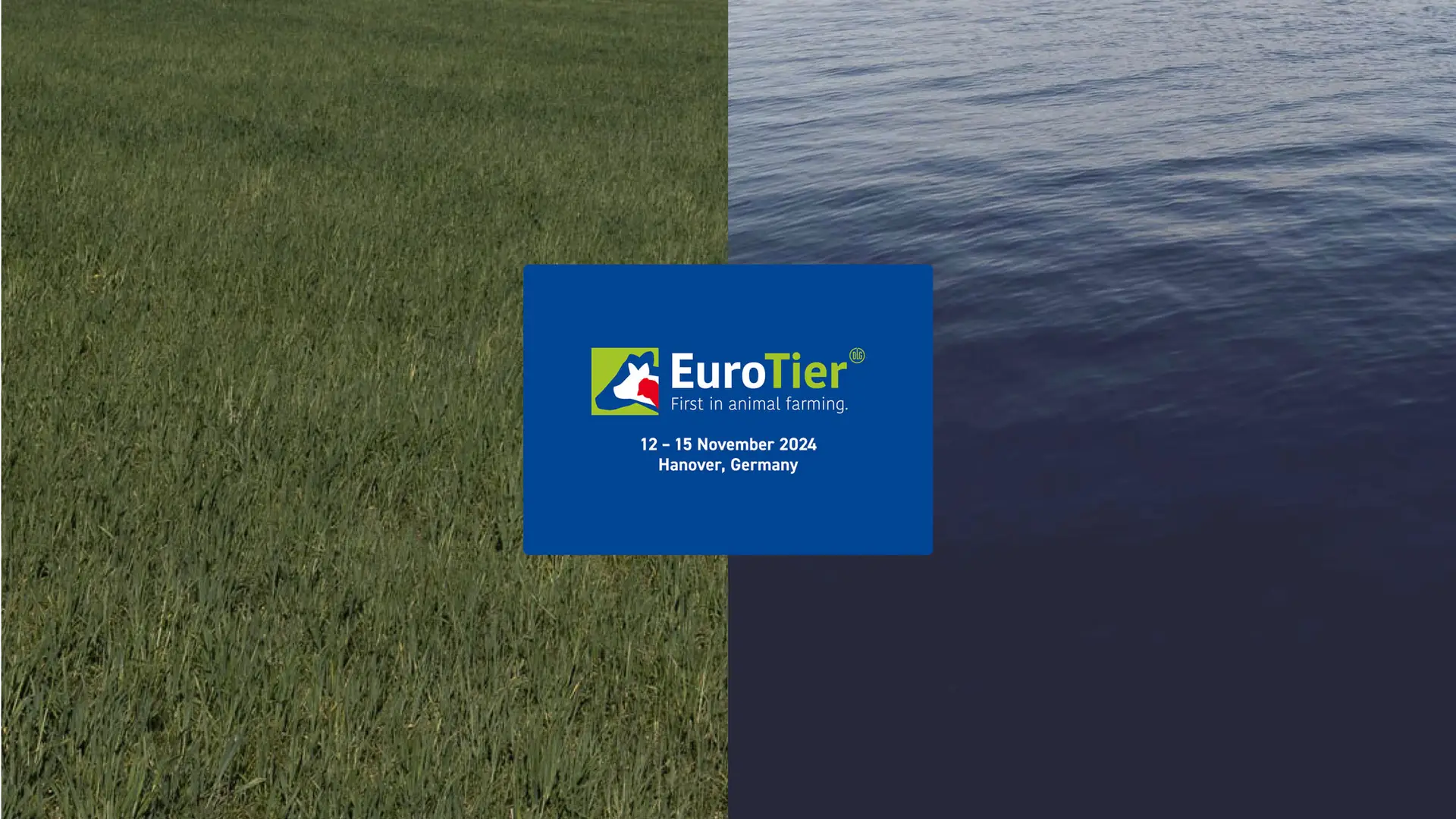 Get a taste for sustainable feed ingredients at EuroTier! - Prochaete