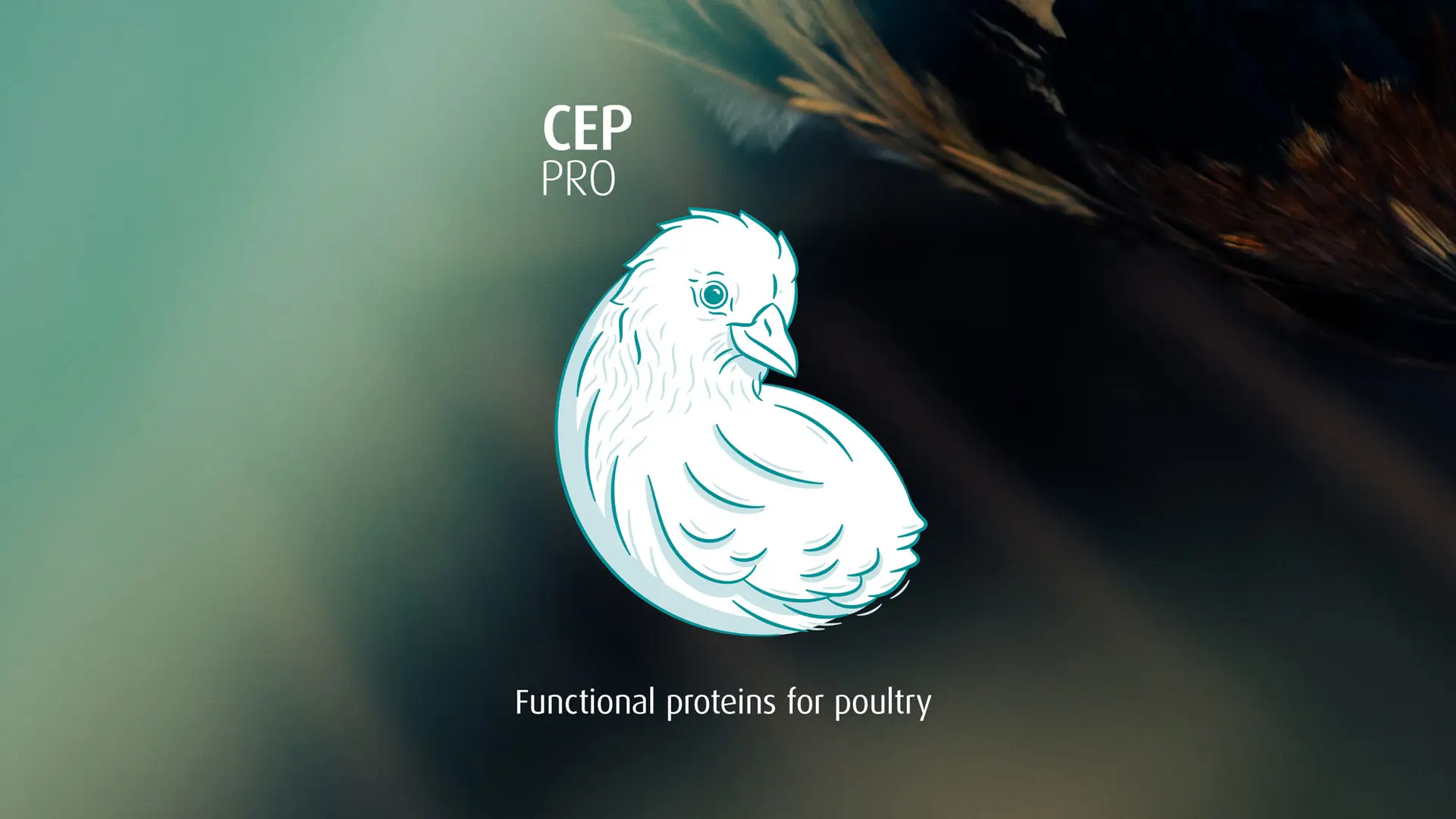 CEP PRO - Prochaete