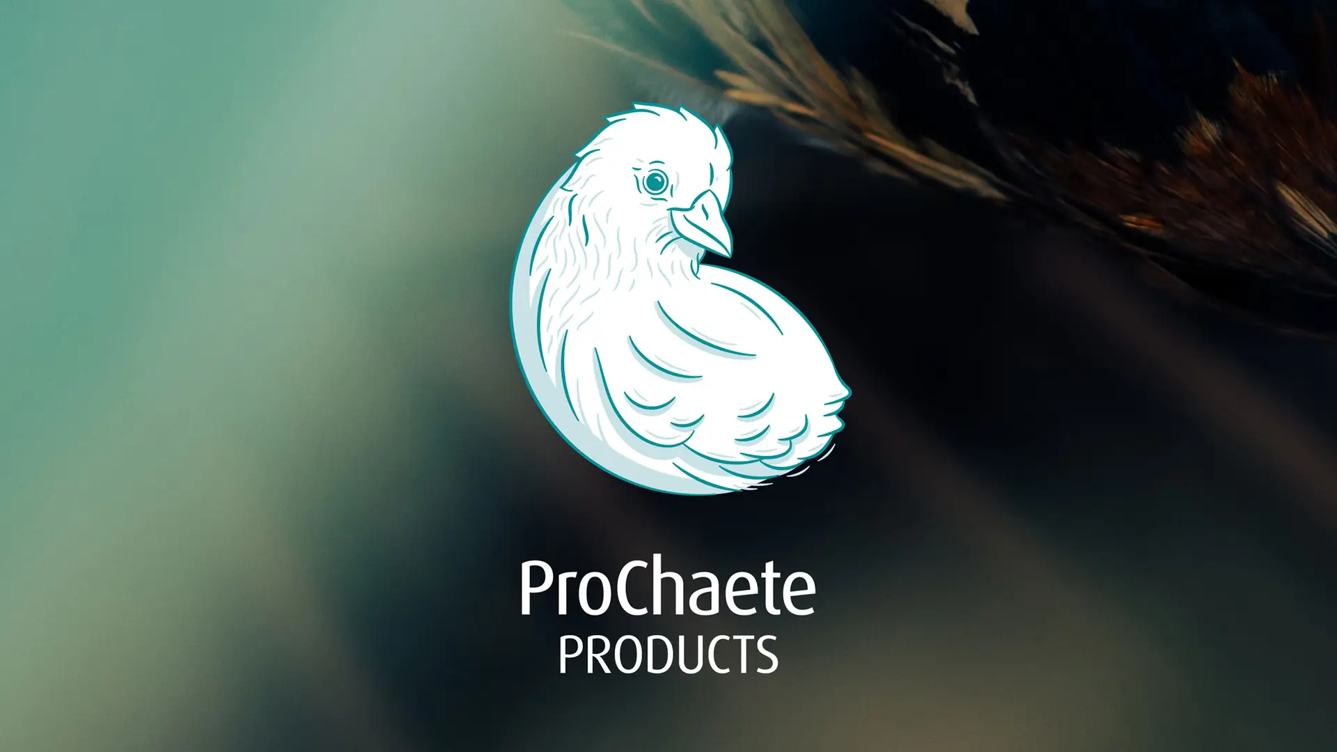 Poultry products - Prochaete
